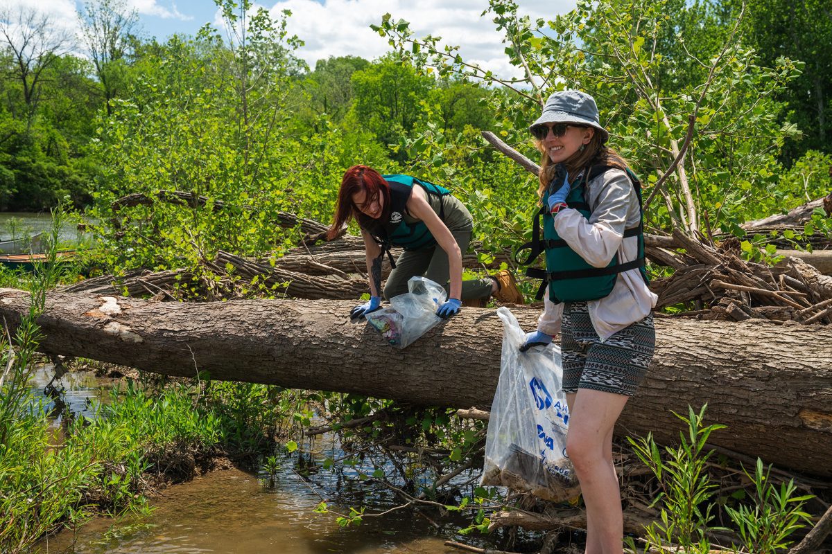 White River Clean-Up - The White River Alliance