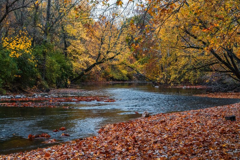 About The White River - The White River Alliance